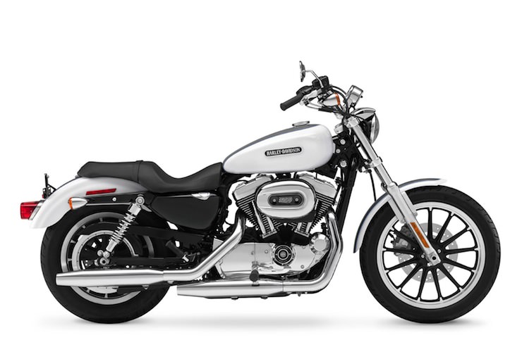 Pit Bull - Harley Davidson Sportster 883 and 1200 models
