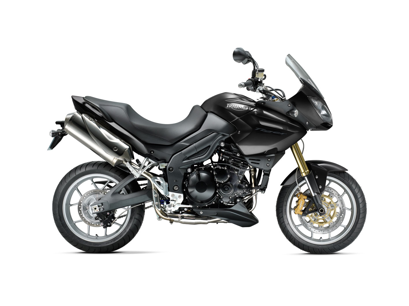 Pit Bull - Triumph Tiger 1050 / Tiger 955i