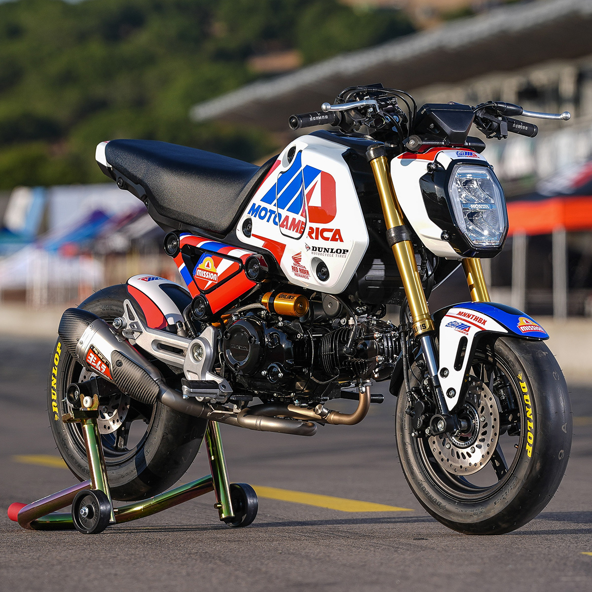 Pit Bull - Honda Grom Rear Axle Slider Kit - F0122A-000